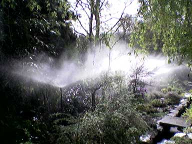 Individual Watering Needs - Waterscape Solutions UK